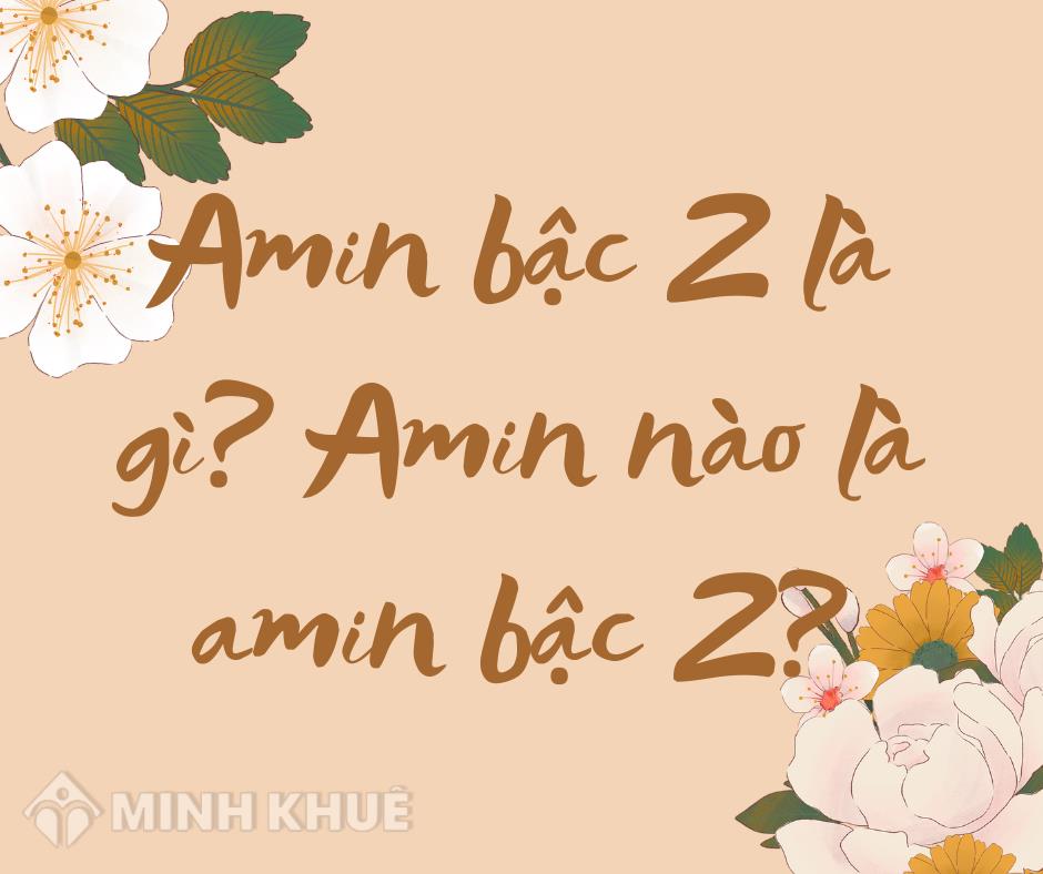 Amin bậc 2 là gì? Amin nào sau đây là amin bậc 2?