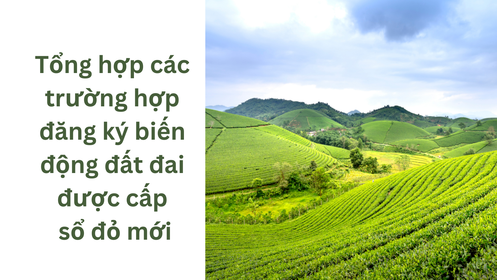 Tổng hợp các trường hợp đăng ký biến động đất đai được cấp sổ đỏ mới