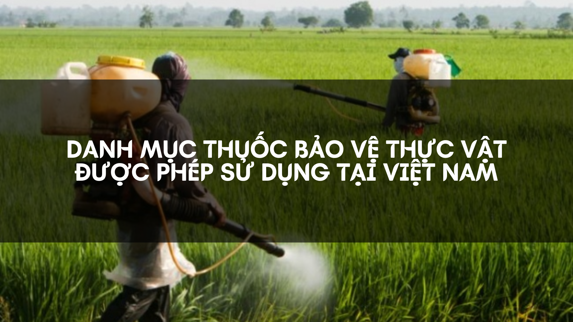 Danh mục thuốc bảo vệ thực vật được phép sử dụng tại Việt Nam
