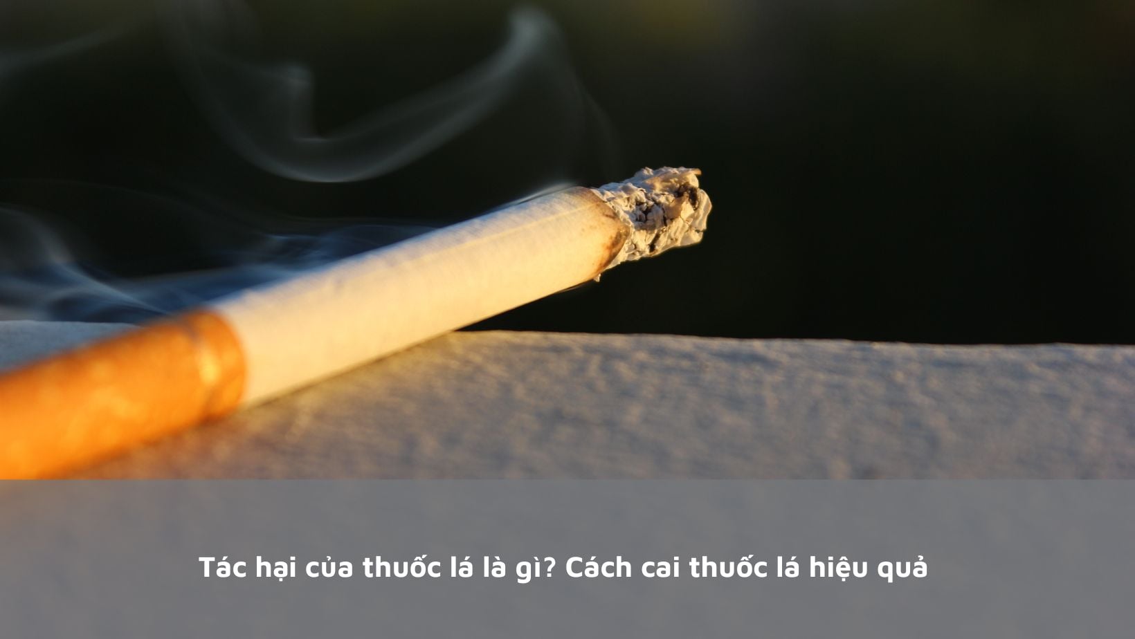 Tác hại của thuốc lá là gì? Cách cai thuốc lá hiệu quả