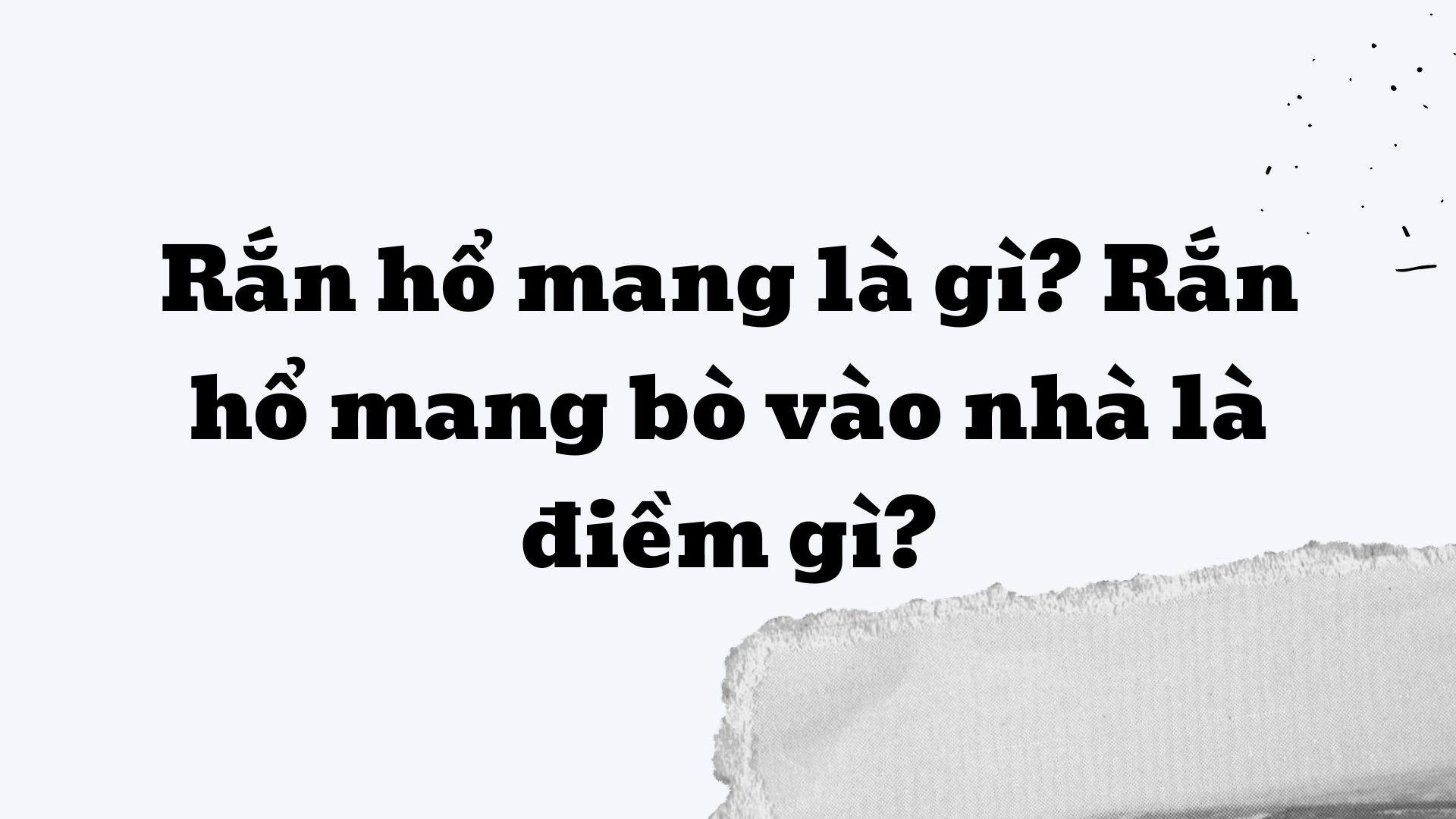 Rắn hổ mang là gì? Rắn hổ mang bò vào nhà là điềm gì?