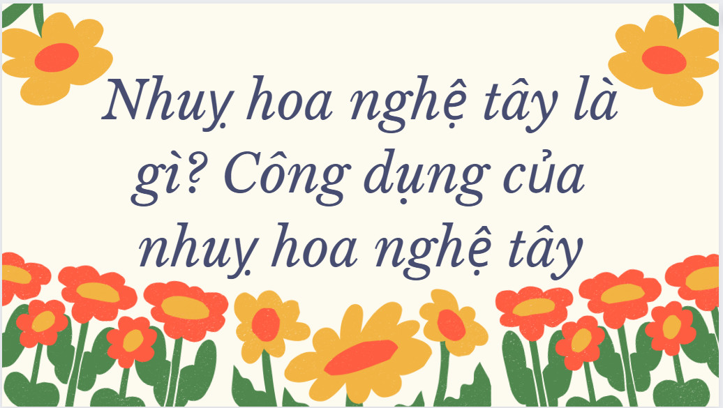 Nhuỵ hoa nghệ tây là gì? Công dụng của nhuỵ hoa nghệ tây