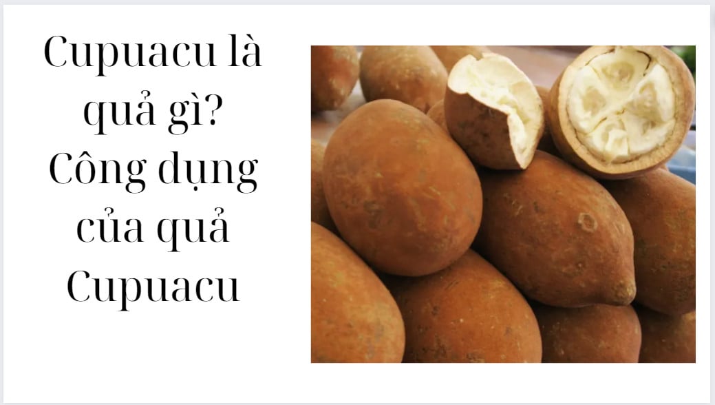 Cupuacu là quả gì? Công dụng của quả Cupuacu