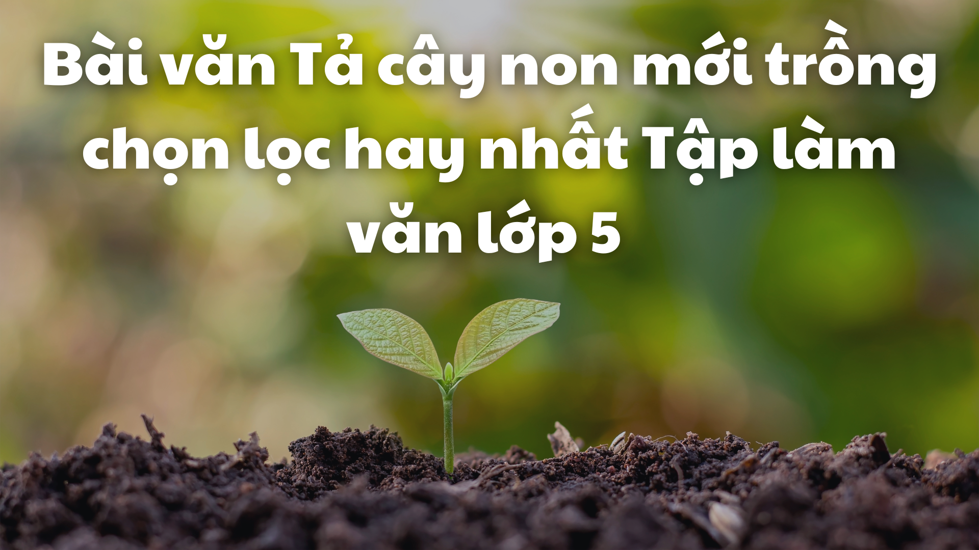 Bài văn Tả cây non mới trồng chọn lọc hay nhất Tập làm văn lớp 5