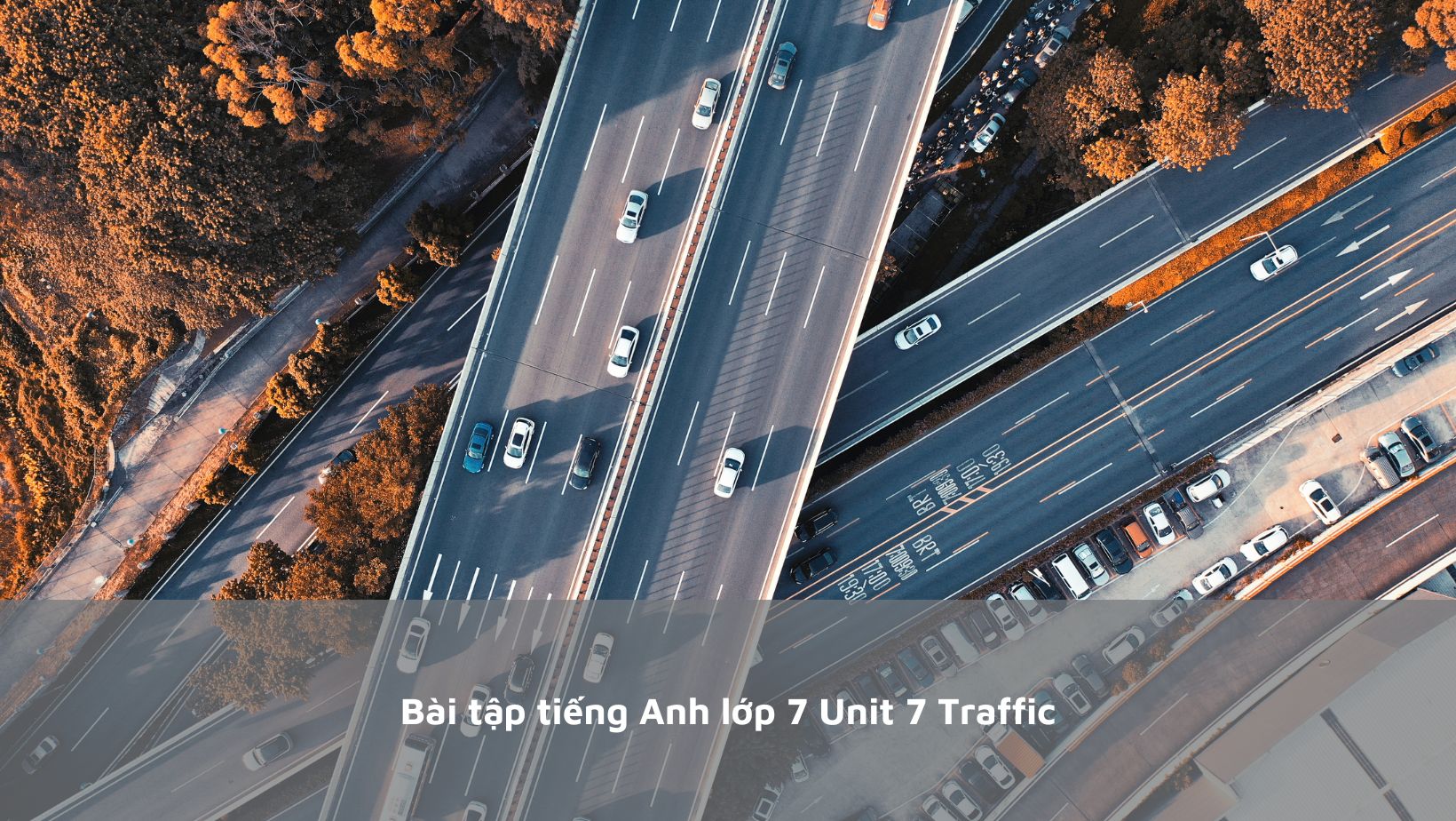 Bài tập tiếng Anh lớp 7 Unit 7 Traffic