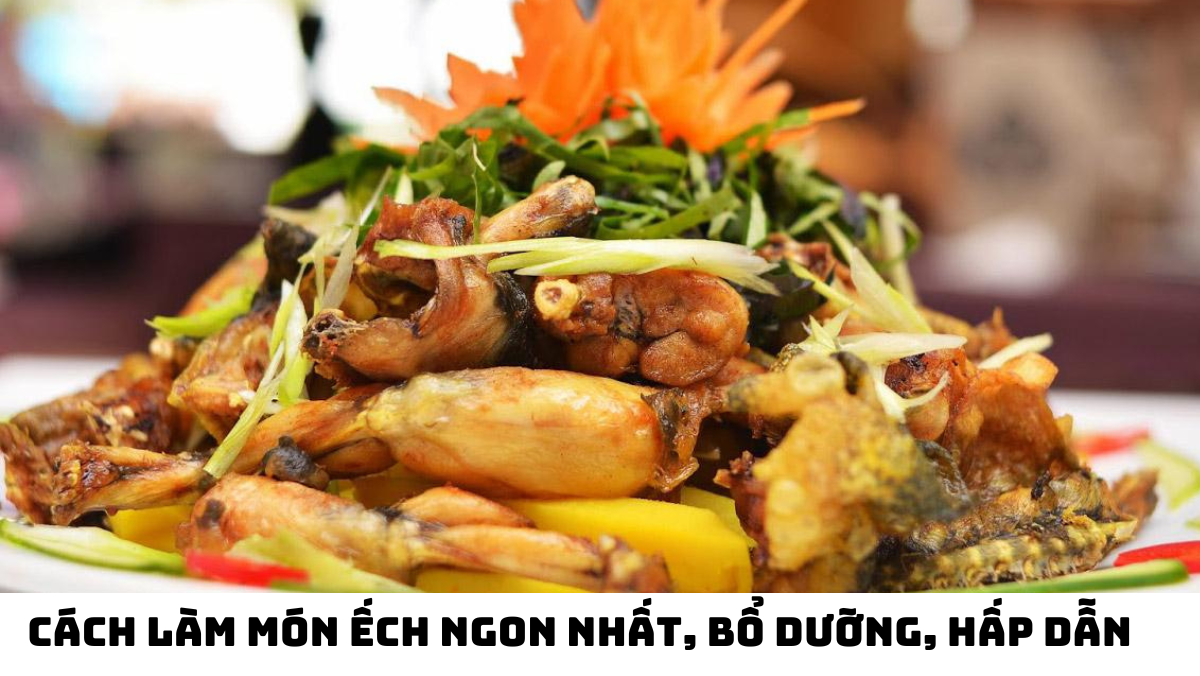 Cách làm món ếch ngon nhất, bổ dưỡng, hấp dẫn