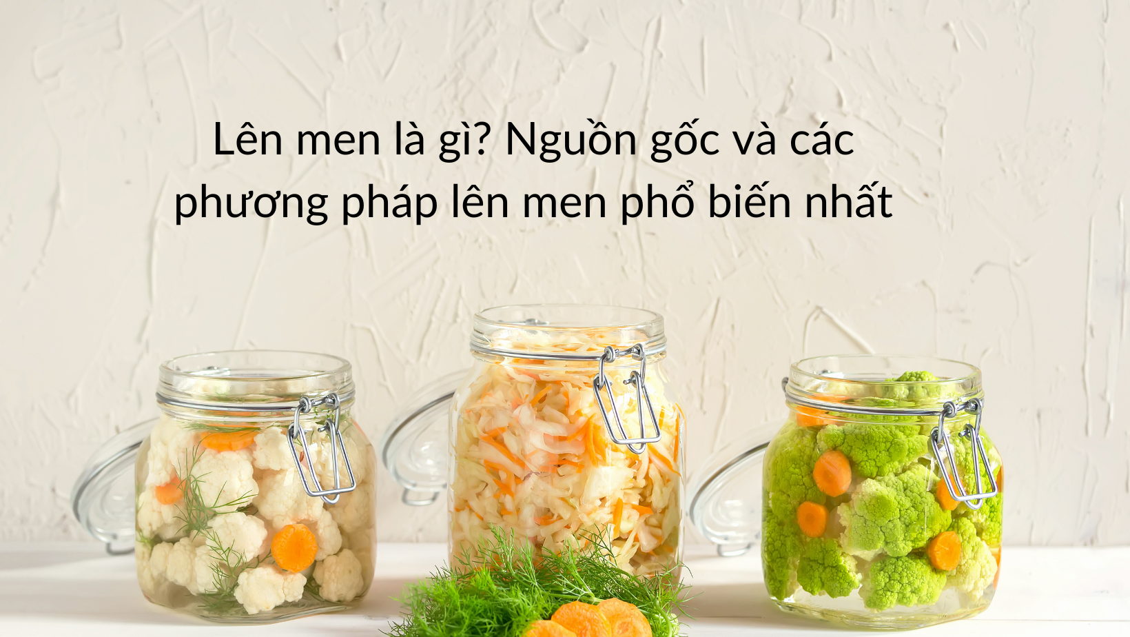Lên men là gì? Nguồn gốc và các phương pháp lên men phổ biến nhất