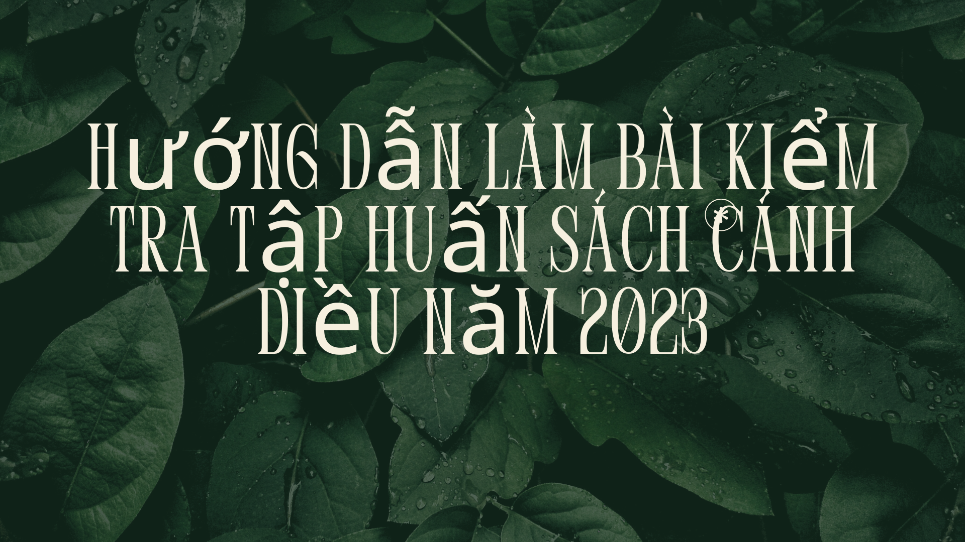Hướng dẫn làm bài kiểm tra tập huấn sách Cánh Diều mới nhất