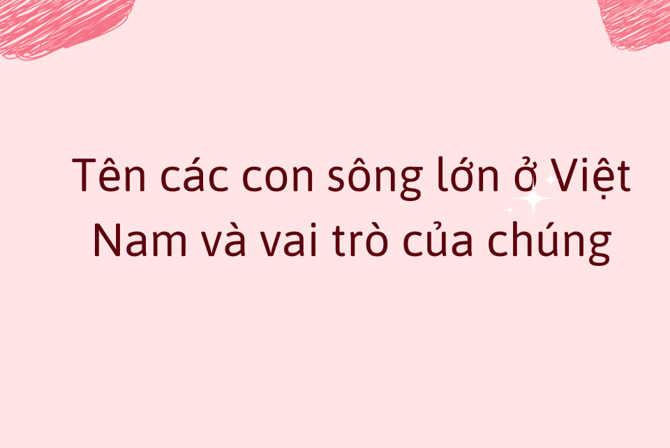 Tên các con sông lớn ở Việt Nam và vai trò của chúng