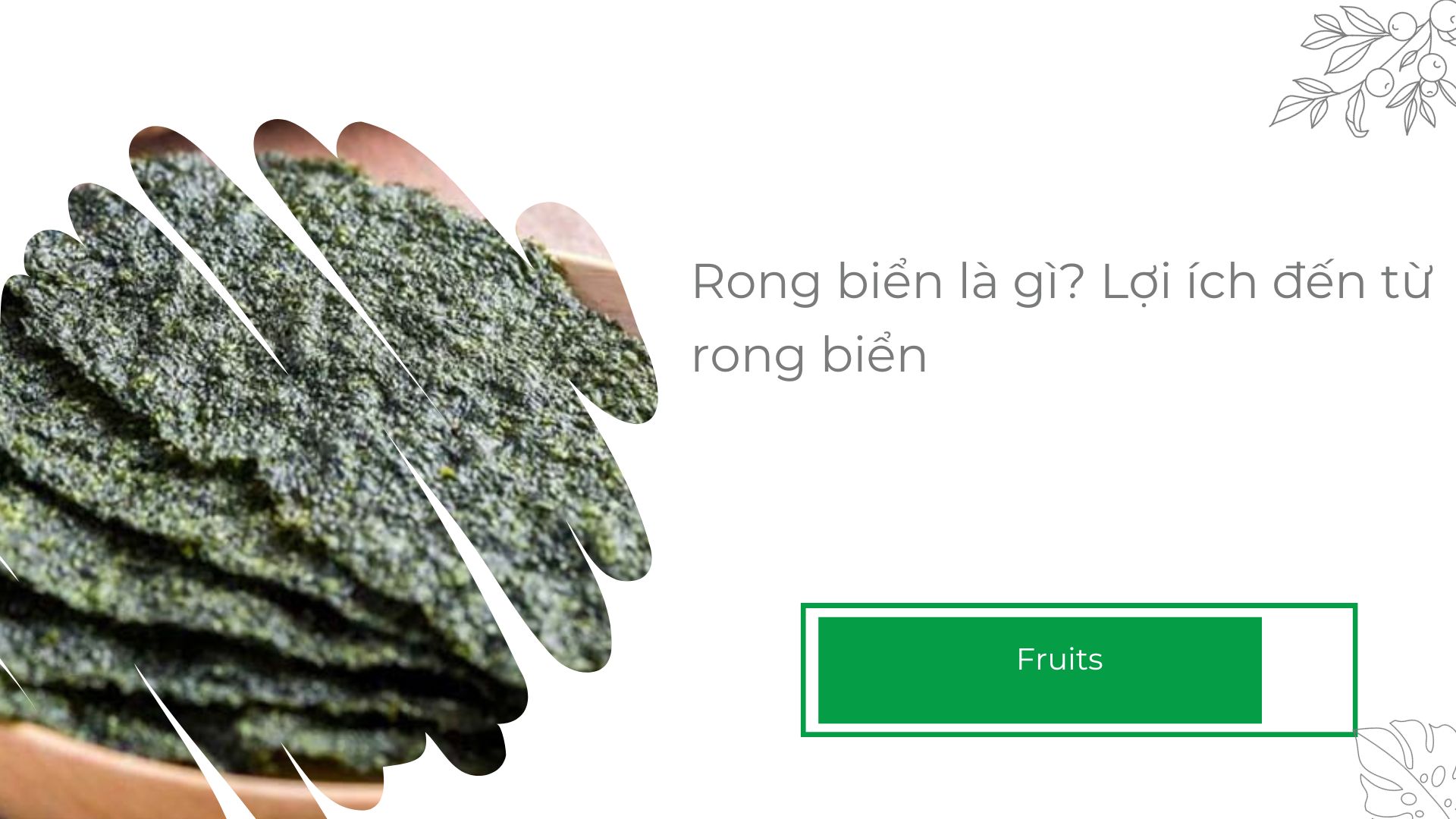 Rong biển là gì? Lợi ích đến từ rong biển