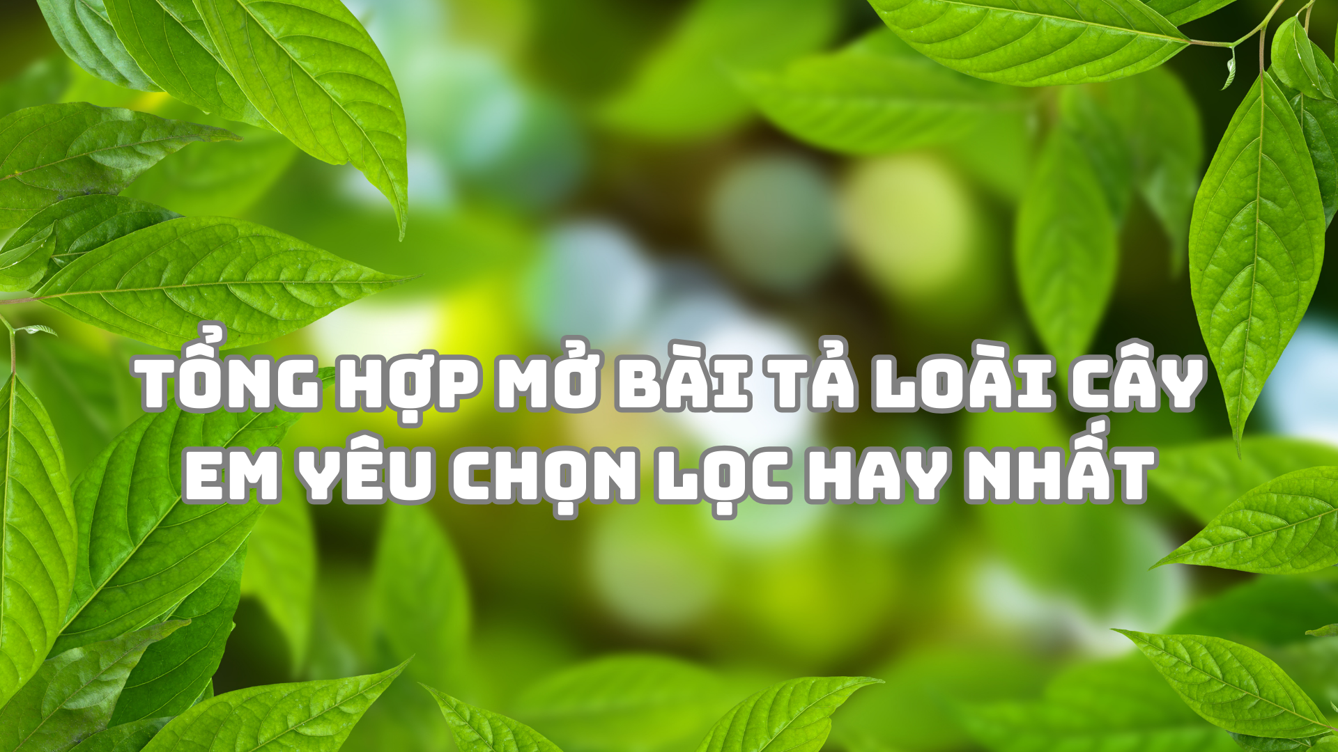 Tổng hợp mở bài Tả loài cây em yêu chọn lọc hay nhất