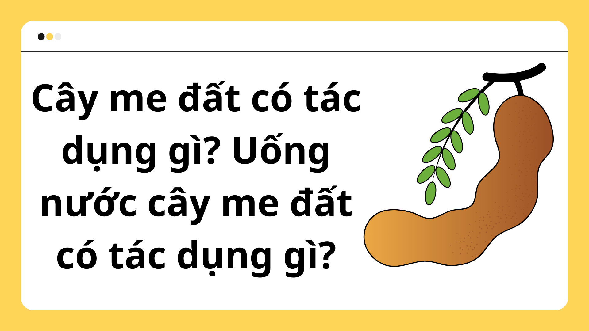 Cây me đất có tác dụng gì? Uống nước cây me đất có tác dụng gì?