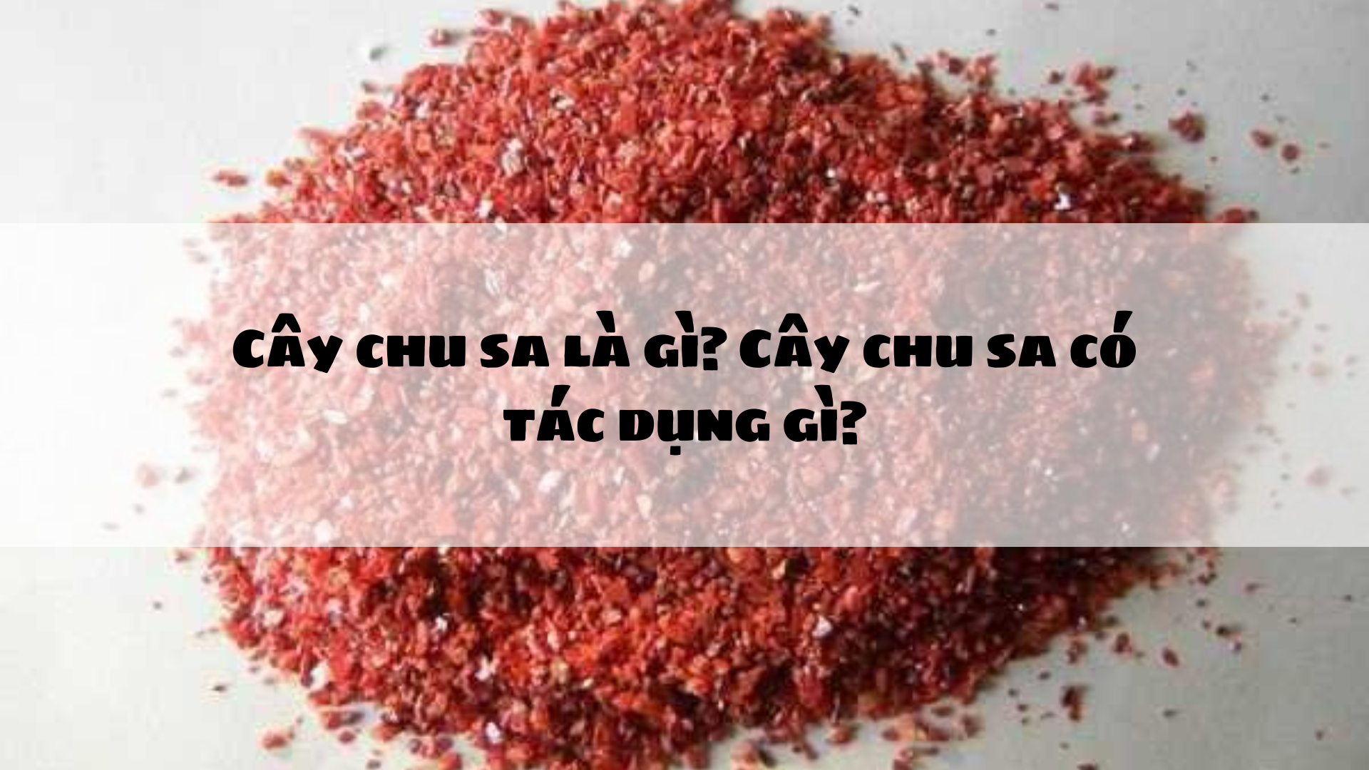 Cây chu sa là gì? Cây chu sa có tác dụng gì?