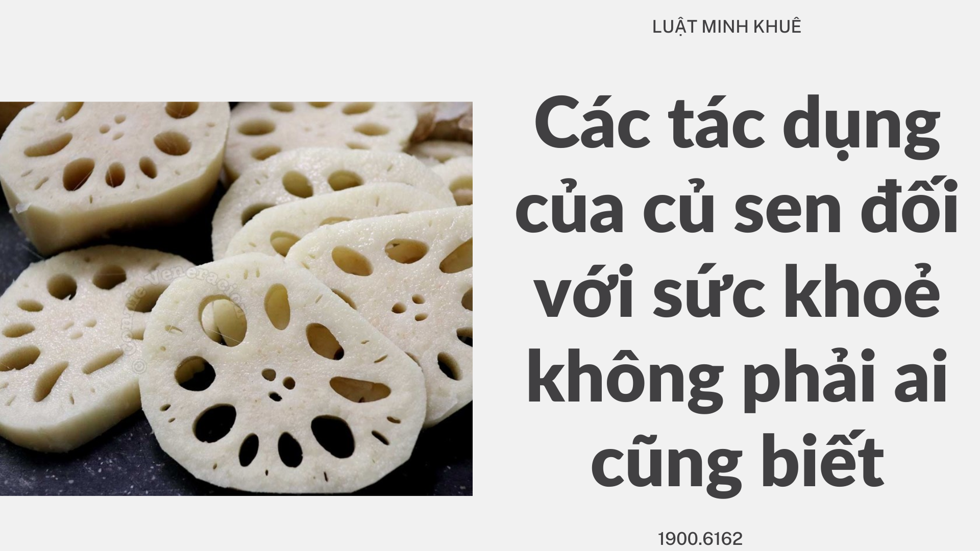 Các tác dụng của củ sen đối với sức khoẻ không phải ai cũng biết