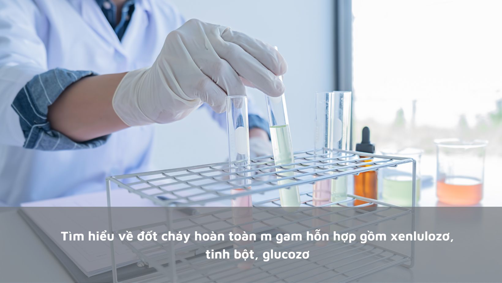 Tìm hiểu về đốt cháy hoàn toàn m gam hỗn hợp gồm xenlulozơ, tinh bột ...
