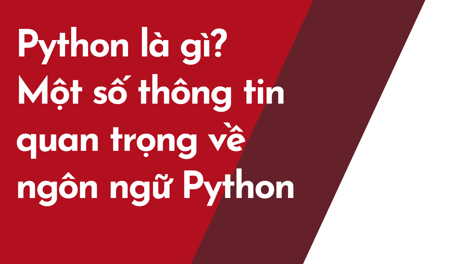 Python là gì? Một số thông tin quan trọng về ngôn ngữ Python