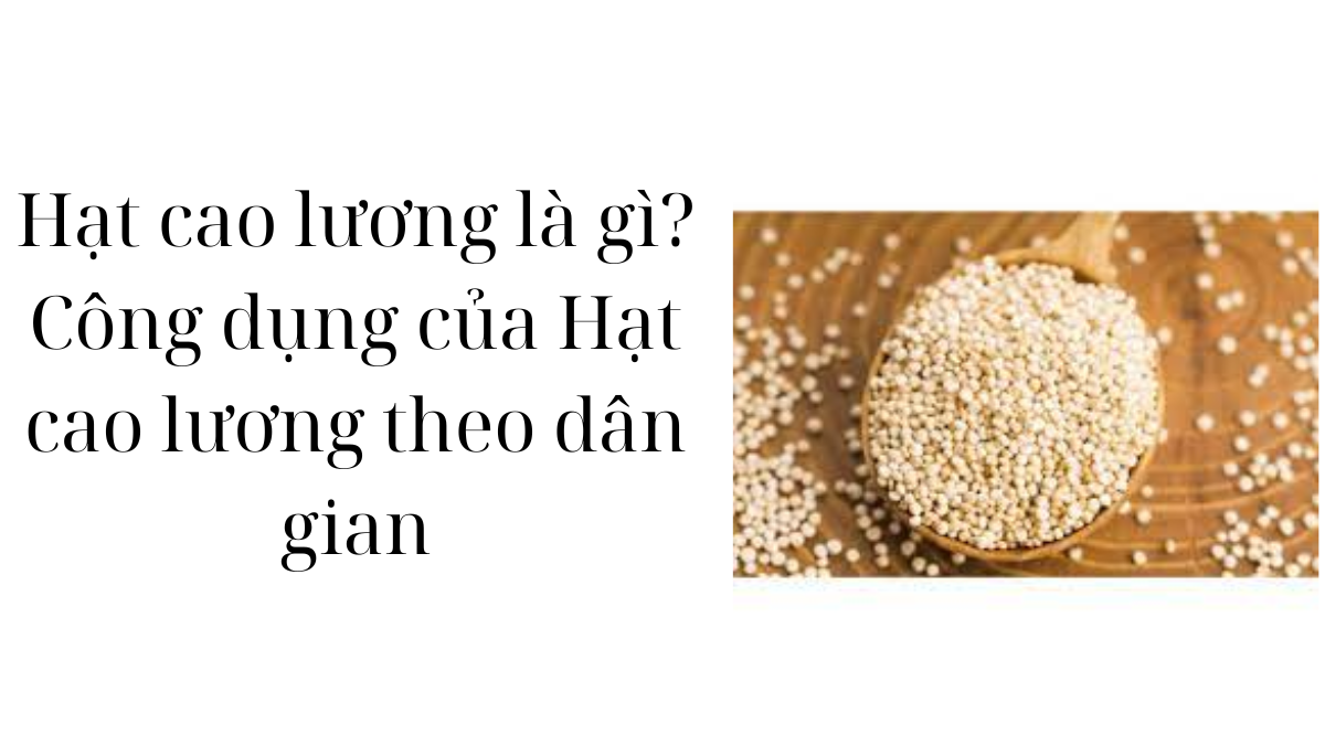 Hạt cao lương là gì? Công dụng của Hạt cao lương theo dân gian