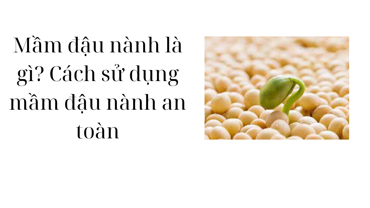 Mầm đậu nành là gì? Cách sử dụng mầm đậu nành an toàn