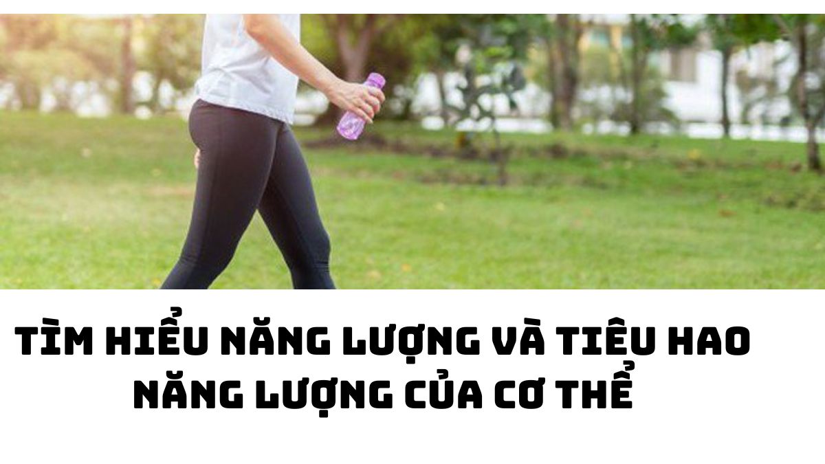 Tìm hiểu năng lượng và tiêu hao năng lượng của cơ thể