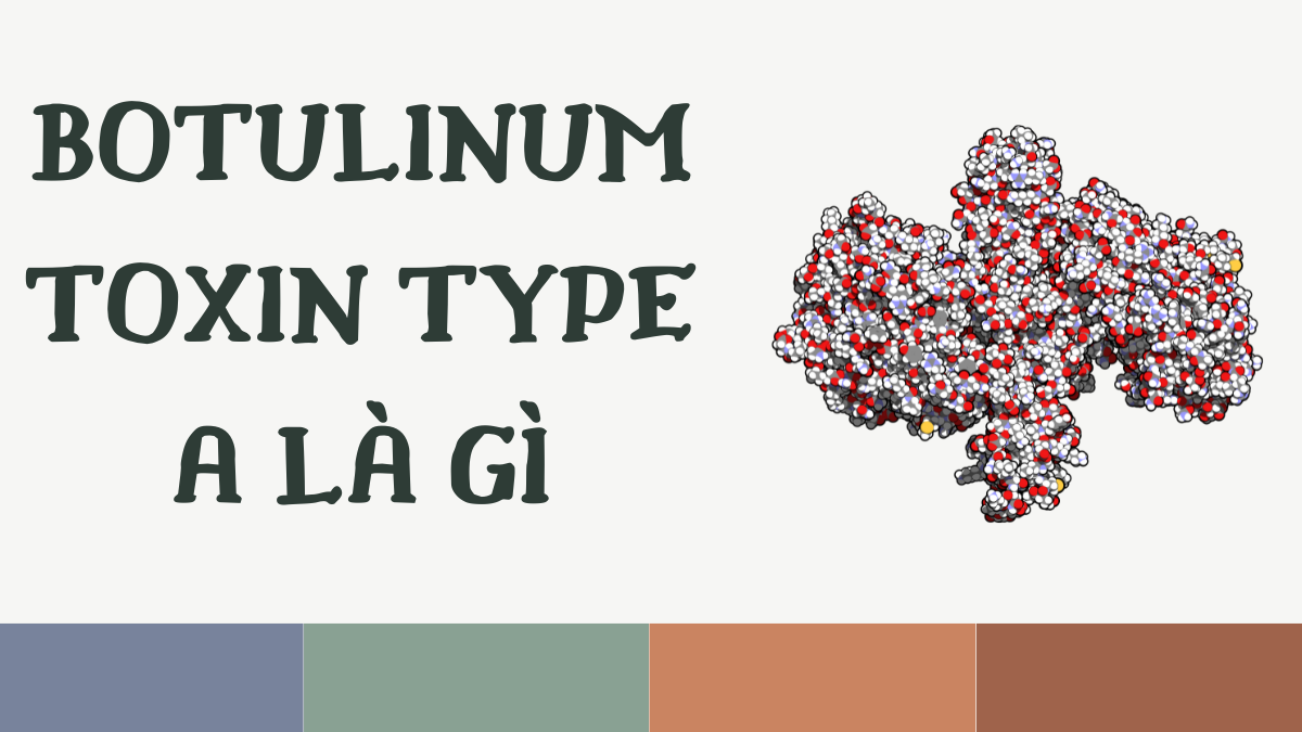 Botulinum toxin type A là gì