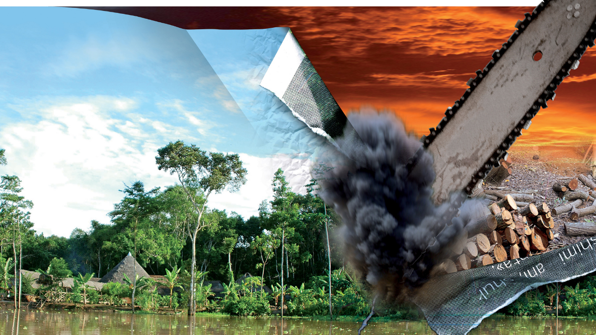 Viết đoạn văn tiếng Anh về nạn phá rừng siêu hay kèm bản dịch