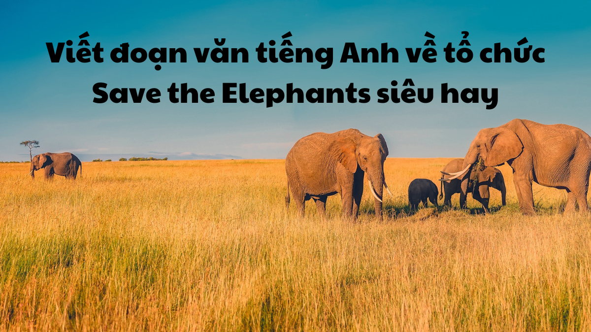 Viết đoạn văn tiếng Anh về tổ chức Save the Elephants siêu hay