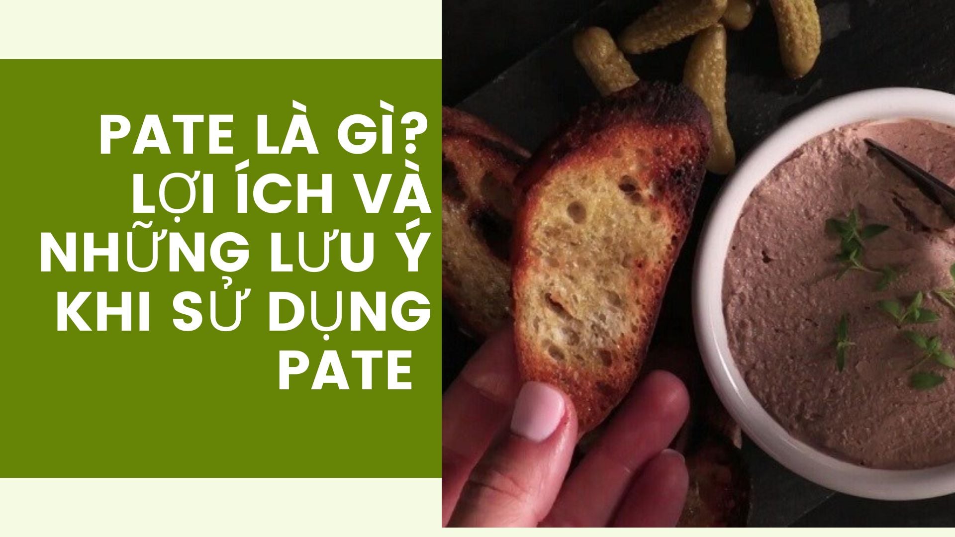 Pate là gì? Lợi ích và những lưu ý khi sử dụng Pate