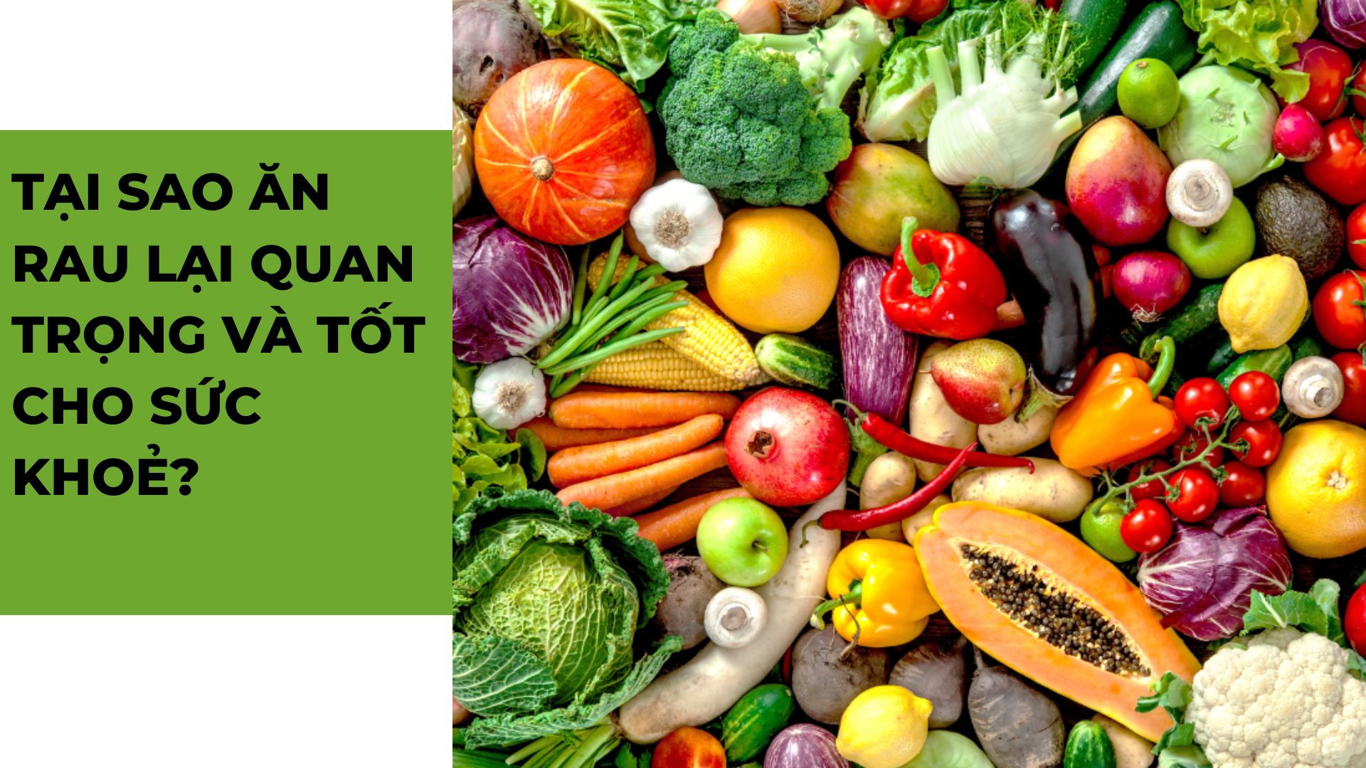 Tại sao ăn rau lại quan trọng và tốt cho sức khoẻ?