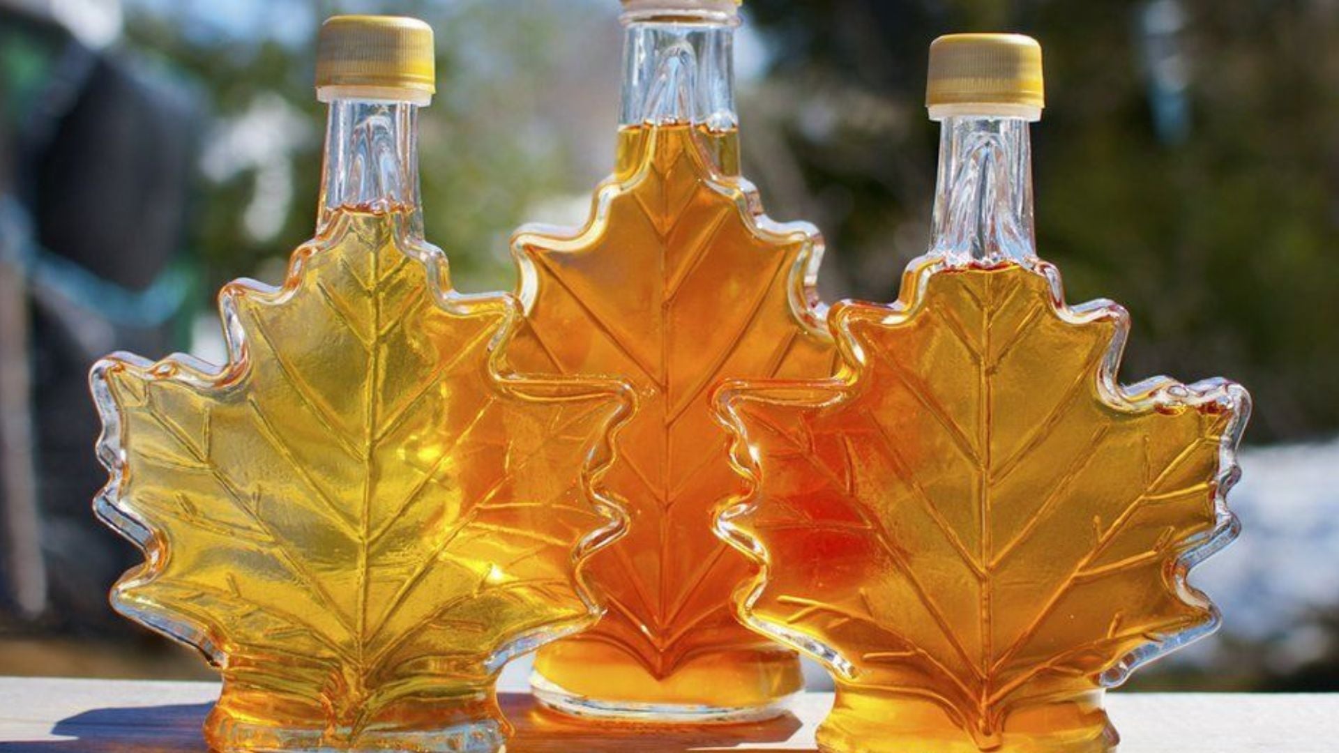 Maple syrup - si rô cây phong là gì và lợi ích của maple syrup